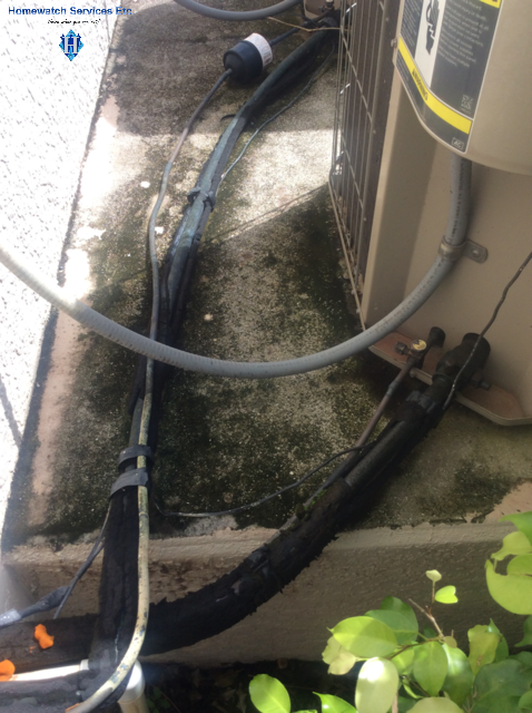 Homewatch Services Etc. | Photos of Why Have Home Watch